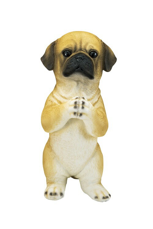 お願いドッグ パグ お庭にも対応しておりますが、焼けによる色あせは出てきます。 サイズ：奥行9.5×横12.5×高さ20.0cm 素材：ポリレジン製 陶器より割れにくい素材となります。 モニターの発色の具合によって実際のものと色が異なる場合...