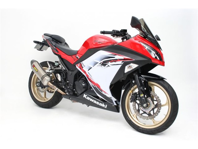 メーカー品番 : 28875071ブランド : GALE SPEEDJANコード : 4538792805122適合モデル : NINJA250 13-17(ABS車含む)/Z250 13-17(ABS車含む)品名 : F 300-17 G...