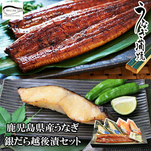商品説明名称うなぎ蒲焼 原材料名 ■うなぎ蒲焼■うなぎ(鹿児島県産)、しょうゆ（大豆・小麦を含む）、砂糖混合異性化液糖、発酵調味料、水あめ、砂糖、うなぎエキス（大豆・小麦を含む）/酒精、増粘剤（加工澱粉、増粘多糖類）、調味料（アミノ酸等）、...