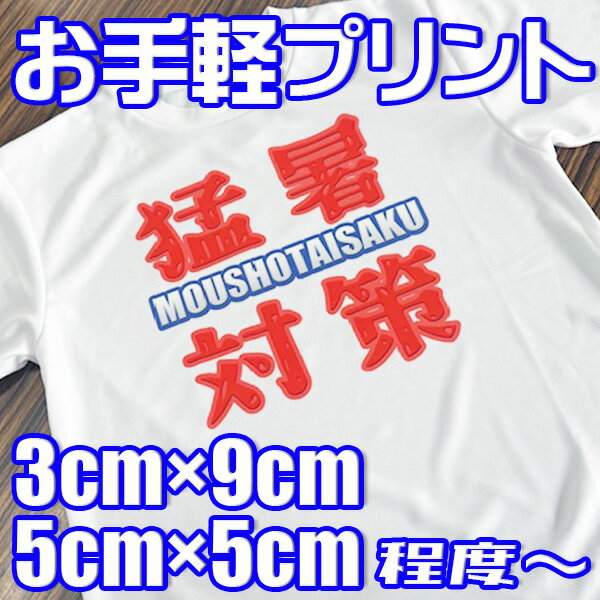 ■5cm×5cmまたは3cm×9cm程度のフルカラー転写の価格です ■入稿について Adobe illustratorで作成したデータが最適ですが 解像度400dpi以上の画像データからでも作成可能です。 ■一般衣料から防寒服やレインウェア...