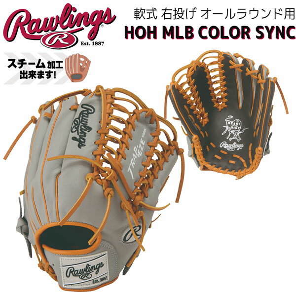 Rawlings が誇る人気シリーズ HOH（HEART OF THE HIDE） より、 MLBカラーを落とし込んだ HOH MLB COLOR SYNC オールラウンドモデル 軟式野球に対応したオールラウンド用で、 ポジションを選ばず使...