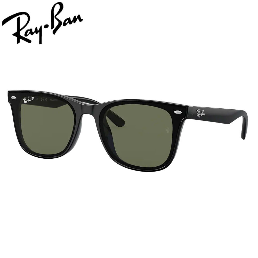 レイバン サングラス 偏光レンズ Ray-Ban RB4391D 601/9A（65サイズ） 日本限定デザイン アジアンフィット 正規品 世界的アイウェアブランド Ray-Ban（レイバ ン） の日本限定モデル「RB4391D」。 存在感の...