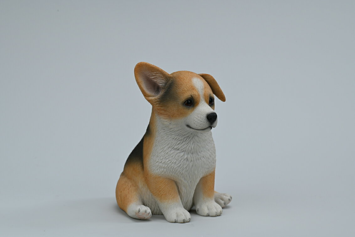 商品情報サイズ8×7×11cm（長さ×幅×高さ）重量286g（工場の実出荷を基準とする）素材樹脂X42302 1/4 座るコーギー犬 JXK直営店 5