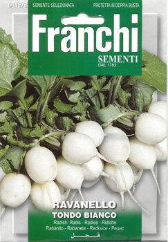 ■ 読み・品種名 ラディッシュ・トンド ビアンコ（ラディッシュ・トンド ビアンコ） ※「TONDO BIANCO」はイタリア語で「白くて丸い」の意味です。 イタリア生まれの、まるくて真っ白な早生ラディッシュ。 一般的な赤色とは違った、目新し...