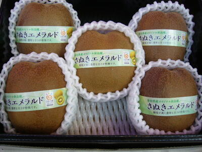 「さぬきエメラルド」の来歴 香川県農業試験場府中果樹研究所でさぬきエメラルド2育成した品種です。 　 「果肉色が黄緑色であり、高級感あふれる“エメラルド”の様に気品あふ れるキウイになって欲しい」との願いを込めて、「さぬきエメラルド」と 名...