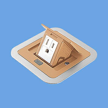 品番： DU1302F品名： 住宅用F型アップコン角型 1コ口アース付 ナチュラルバーチ 2P 15A 125V
