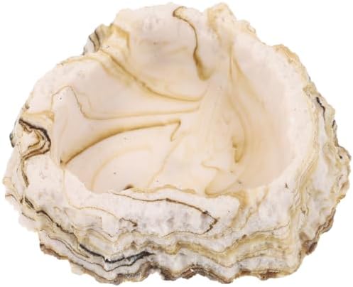 樹脂製ロックワームフィーダーディッシュ この爬虫類用水盤は、トカゲやその他の小動物など、あらゆる種類の爬虫類に適しています。 爬虫類用給水器 爬虫類の餌と水を入れるのに最適で、爬虫類の世話が簡単になります。 爬虫類用フードボウル 爬虫類やそ...