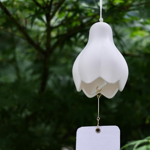 玉蘭は早春の花で、新生と希望を象徴します。大地が冬から完全に目覚める前に、先に咲き始めます。真っ白で清らかな花は、大きく、花びらは玉のように白く、雑質が全くありません。春の陽射しに照らされて、丹念に磨かれたようです。すがすがしく優雅な花は、...