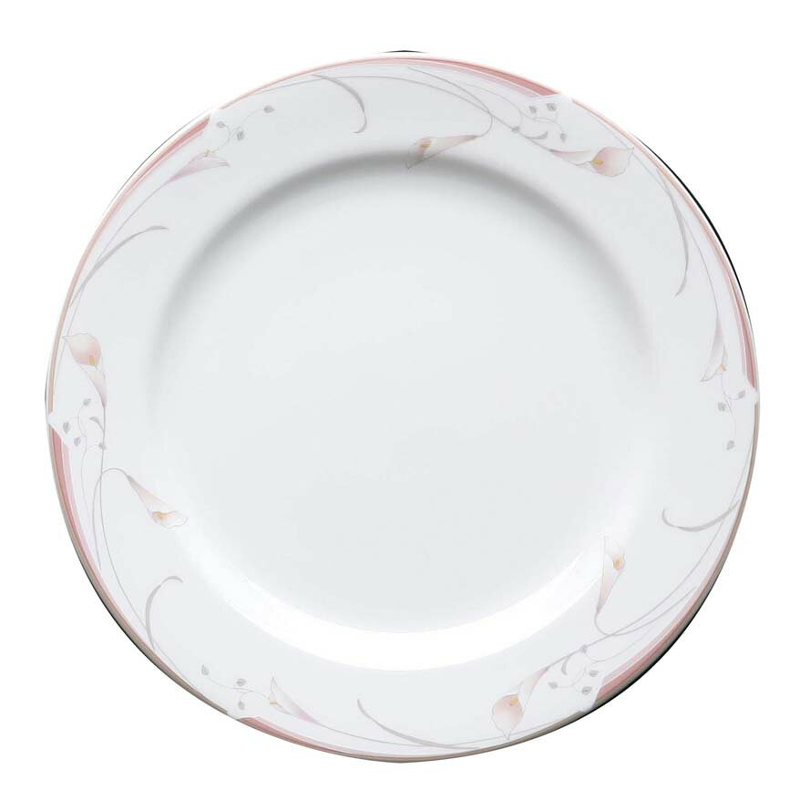 商品情報 サイズ(mm)D236mm H18mm材質アルミクロン（強化磁器） 7538560　