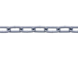 【特長】切断済みチェーンですので、すぐにご使用いただけます。【用途】間仕切り・転倒防止。【仕様】全長(m)：3使用荷重(kN)：1.96線径d(mm)：5.5内長P(mm)：30内幅W(mm)：9袋入【材質/仕上】スチール（SWRM）表面処...