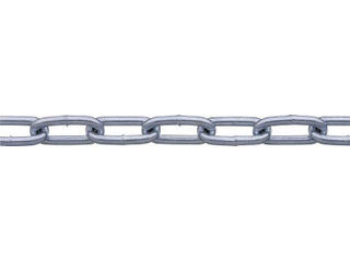 【特長】切断済みチェーンですので、すぐにご使用いただけます。【用途】間仕切り・転倒防止。【仕様】全長(m)：1使用荷重(kN)：1.96線径d(mm)：5.5内長P(mm)：30内幅W(mm)：9袋入【材質/仕上】スチール（SWRM）表面処...