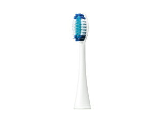 ・薄ヘッド・細ネックブラシで磨き難い奥歯まで磨けます。 ・毛先の細さ約0.02mmのブラシで歯周ポケットと歯間に入り込み、汚れをしっかりかき出します。 ・口が大きい方には、ラージサイズ。EW0801　
