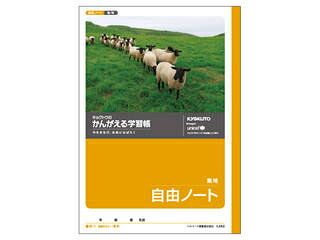 やさしさ、ふれあい、社会、環境、学び、そして未来のことをかんがえて生まれました。毎日書くことが楽しくなるような「学び」をさまざまな点でサポートした学習帳です。 商品情報 規格B5罫内容無地サイズ本体 W179×H252 / 本文 W179×...
