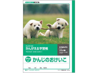 やさしさ、ふれあい、社会、環境、学び、そして未来のことをかんがえて生まれました。毎日書くことが楽しくなるような「学び」をさまざまな点でサポートした学習帳です。 商品情報 規格B5罫内容84字詰(7×12) 中心リーダー入サイズ本体 W179...