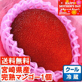 一度は食べてみたい話題の果実♪ 宮崎県産　完熟マンゴー ■商品内容 宮崎県産完熟マンゴー 2Lサイズ 350g以上×1個 化粧箱入 3Lサイズ 450g以上×1個 化粧箱入 4Lサイズ 500g以上×1個 化粧箱入 ■母の日サービス 母の日...