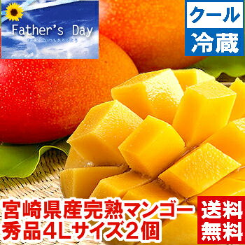 一度は食べてみたい話題の果実♪ 宮崎県産　完熟マンゴー ■商品内容 宮崎県産完熟マンゴー 秀品4Lサイズ 500g以上×2個 ■宮崎マンゴーについて 宮崎のマンゴーはアーウィン種（俗称アップルマンゴー）です。マンゴーは、ウルシ科マンゴー属に...