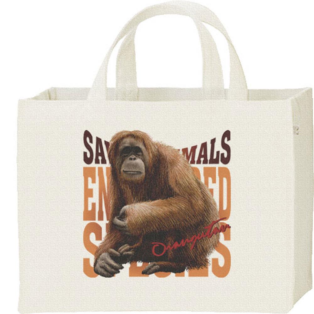 主に絶滅危惧動物もしくはそれに近い生物をテーマにシリーズ化しています。 Save the Auimals!（動物たちを救え！）　