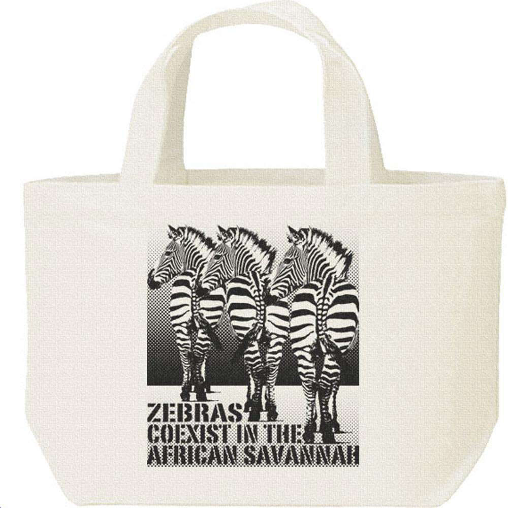 ＜ロゴ部分＞ Zebras coexist in the african savannah.（シマウマ達はアフリカのサバンナで共存している。）　