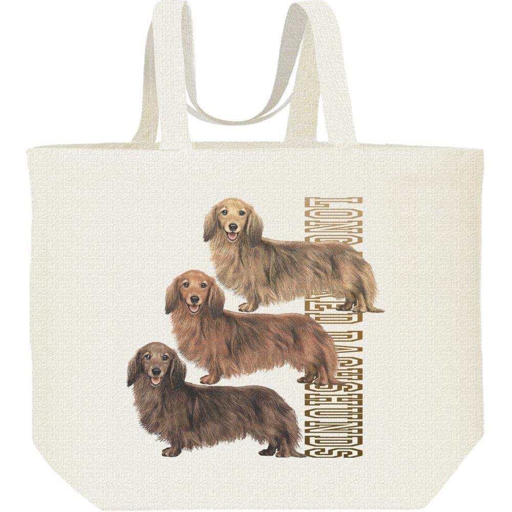 毛色違いの三匹のミニチュア ダックスフント・ロングヘアーです。（ゴールド・レッド・チョコレート） リアルなタッチで描いています。　