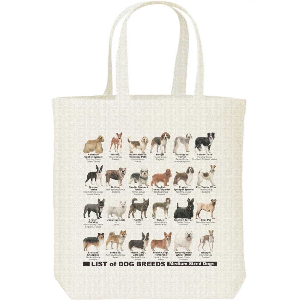 犬種（グループ・原産地）を一覧にしています。　