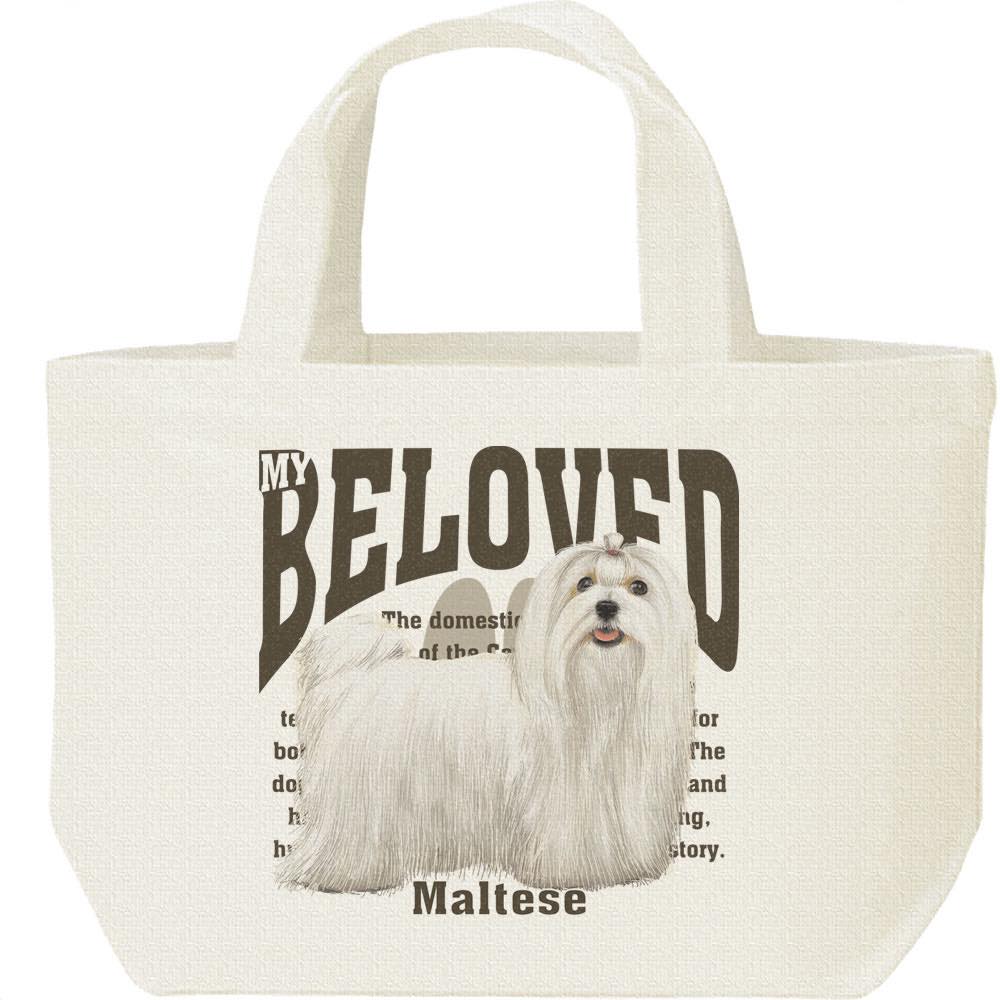 MY BELOVED 〜（最愛の〜）マルチーズ　