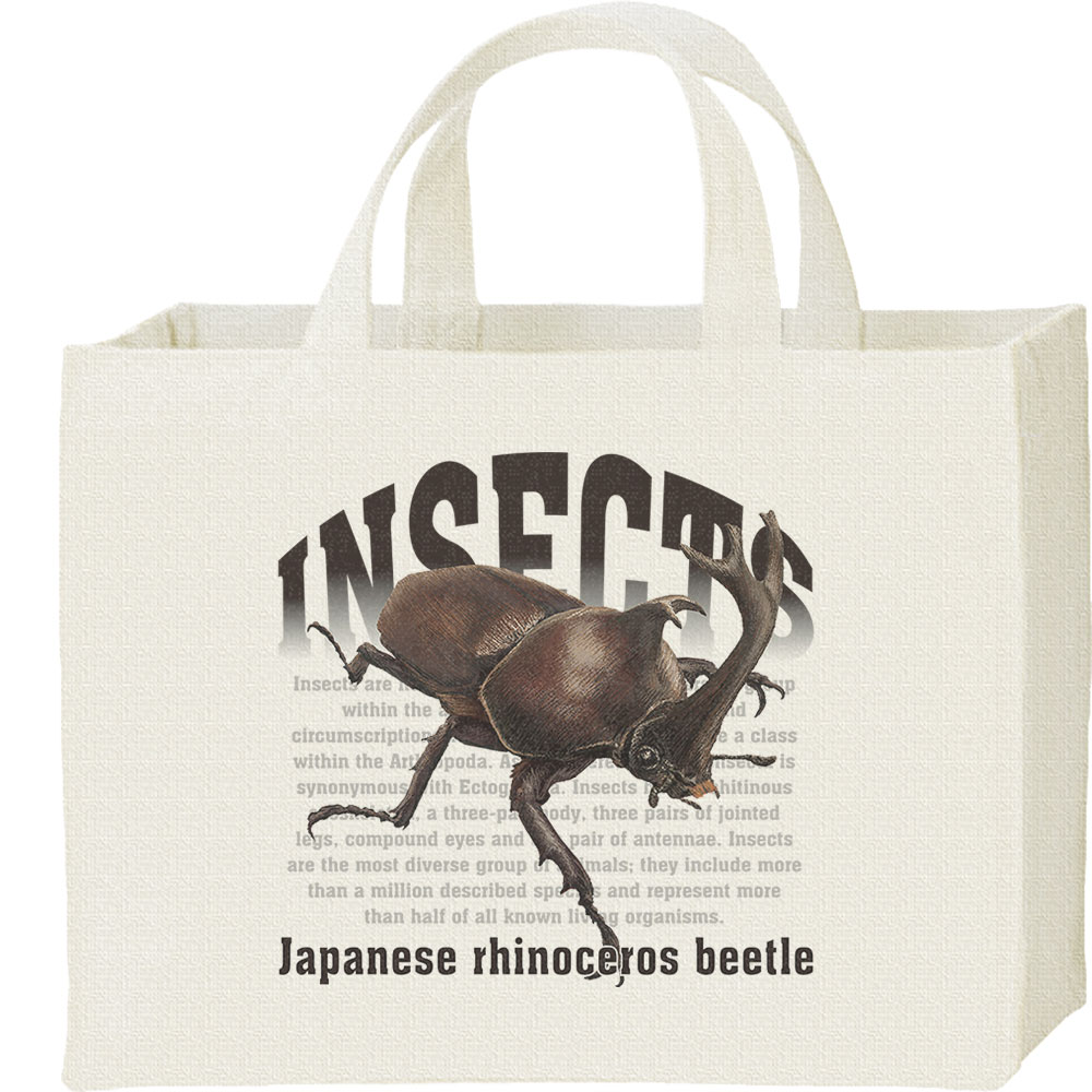 昆虫のシリーズです。カブト虫（かぶと 虫 甲虫 兜虫）　