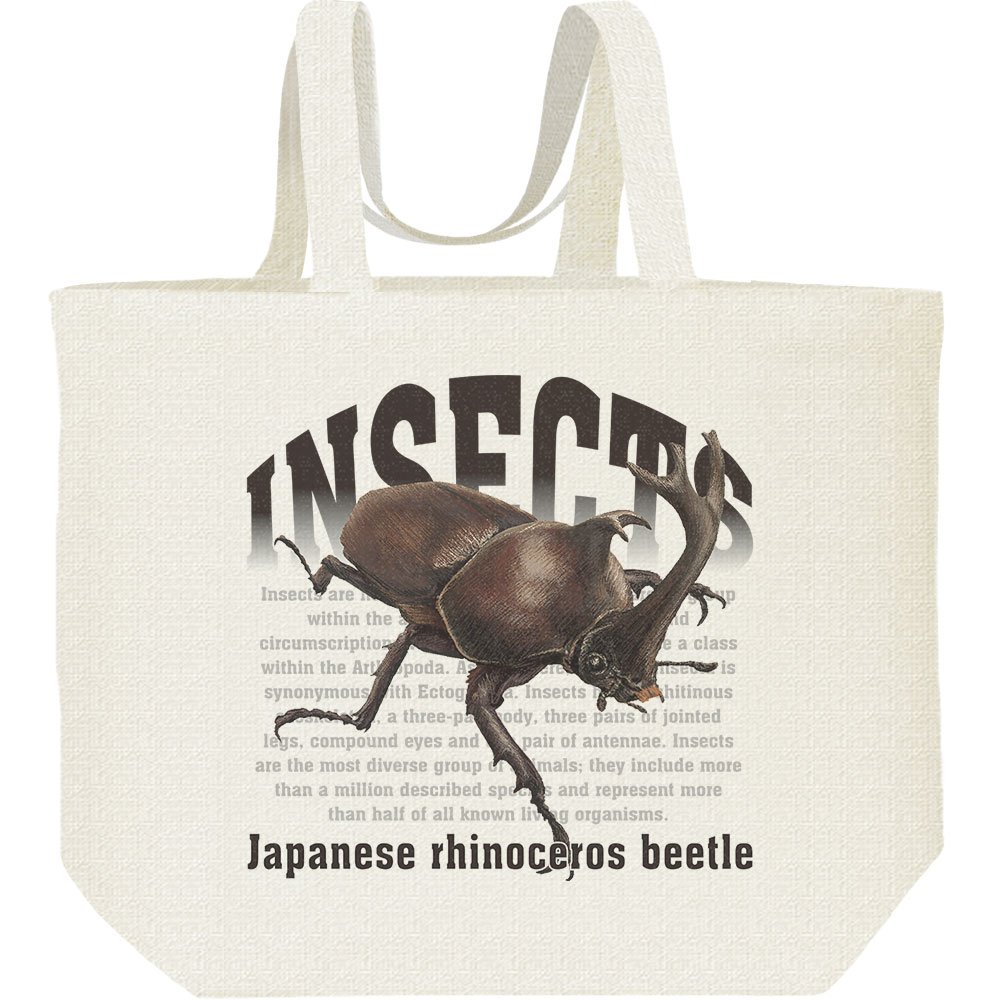 昆虫のシリーズです。カブト虫（かぶと 虫 甲虫 兜虫）　