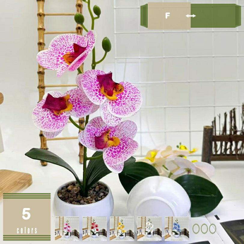 メイン素材：プラスチック【高い品質】人工観葉植物は高い品質のプラスチック製を採用しておりますが、一枚ずつの葉が鉢から伸びあがっている姿と表面に浮き出た斑が特徴で、遠くから見たら本物と見間違う程のリアル感です。【枯れない花】枯れてしまう本物に...