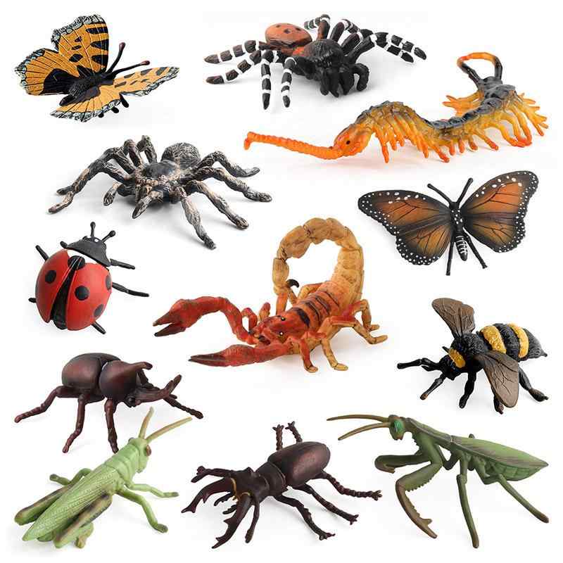 ・主な素材: PVC・カテゴリ: 昆虫模型・モデル種類: バッタ、カブトムシ、コガネムシ、カマキリ、クワガタ、チョウ、タテハチョウ、ハチ、ブラジル白漆頭蜘蛛、ブラジル紅絲絨蜘蛛、サソリ、ムカデ、12種昆虫セット・対象年齢: 4～6歳