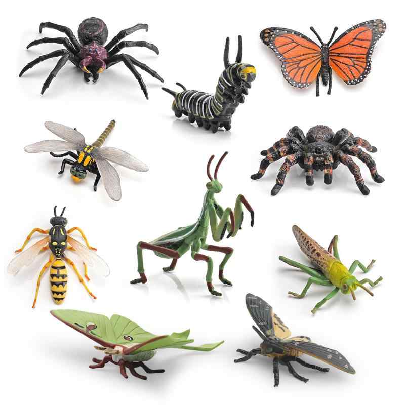・主な素材: PVC・カテゴリ: 動植物静的モデル・内容物: 毒蜘蛛、タランチュラ、蝶、カマキリ、バッタ、毛虫、トンボ、スズメバチ・セット総重量: 140g・対象年齢: 7〜14歳