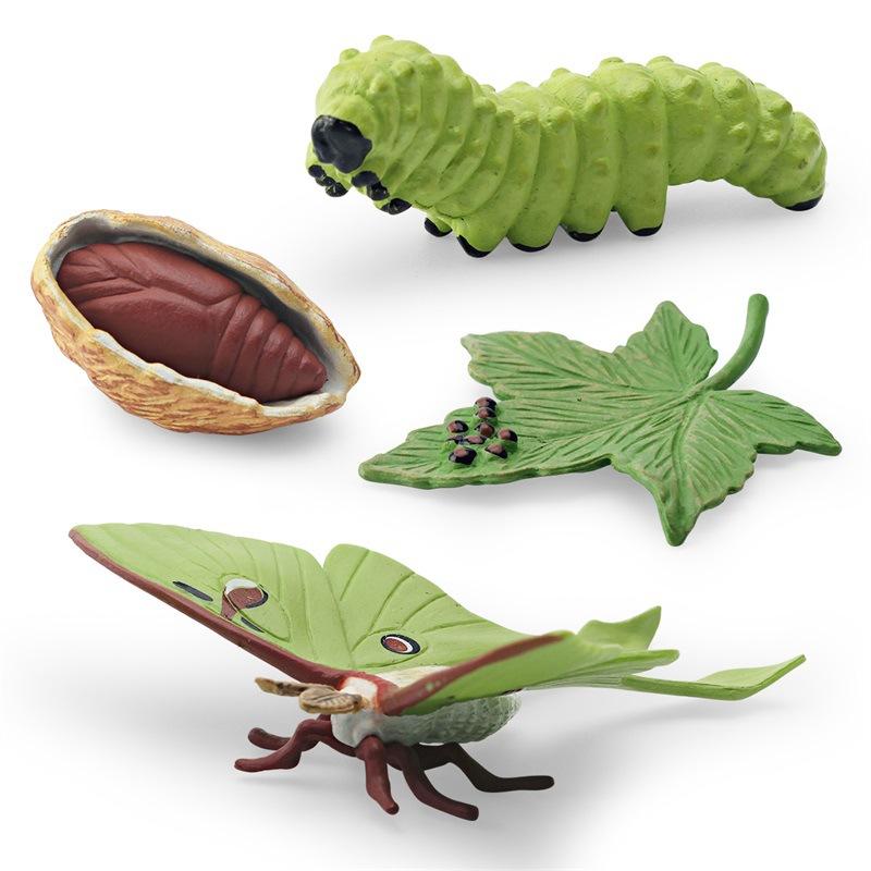 ・モデルカテゴリ: 動植物・主な素材: PVC・タイプ: 静止型・組立: 完成品・対象年齢: 4〜6歳