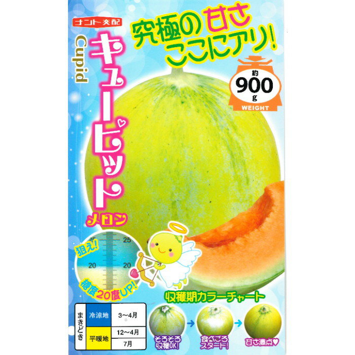 ★小袋種子の配送便と送料についてお願い小袋種子のみのご注文は、メール便にて全国一律180円で送付させて頂きます。ご注文時から概ね3日間ほどで出荷します。 代引き・着日時間指定は出来ませんので、予めご了承願います。 -------------...
