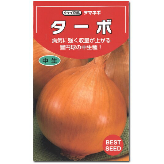タマネギ【 ターボ 】種子 ------------------------ 多収で作りやすい豊円球の中生種！ 【 特徴 】 ・切り玉と年内までの貯蔵用に適する中生種。 草姿立性で作りやすい。 玉は球に近い豊円球で、太りとそろいがよい。 1...
