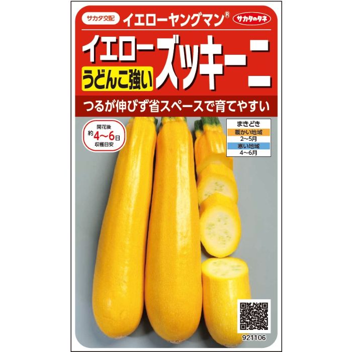 [特長]■つるが伸びず、省スペースで育てやすい品種です。また、うどんこ病に強く、強健で作りやすいのが特長です■果実は黄色の円筒形で連続して収穫できます■天ぷら・煮物・油炒めのほか、ラタトゥイユなどにも。[まきどき]■暖かい地域：2～5月■寒...