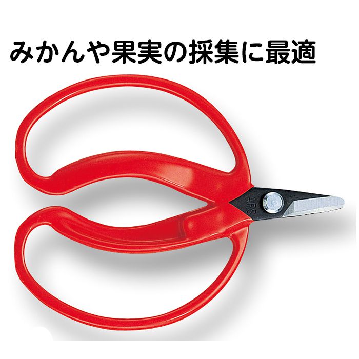 輪っか付き収穫鋏外観サイズ幅13×奥行1.5×高さ14