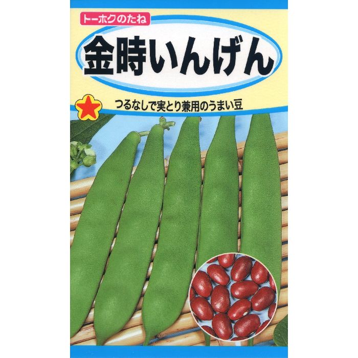 実は赤紫色で大粒の金時豆となりますが、若莢も煮食に使える肉厚の平莢の兼用種です。形も色も、また味も良いことから煮豆に最適とされています