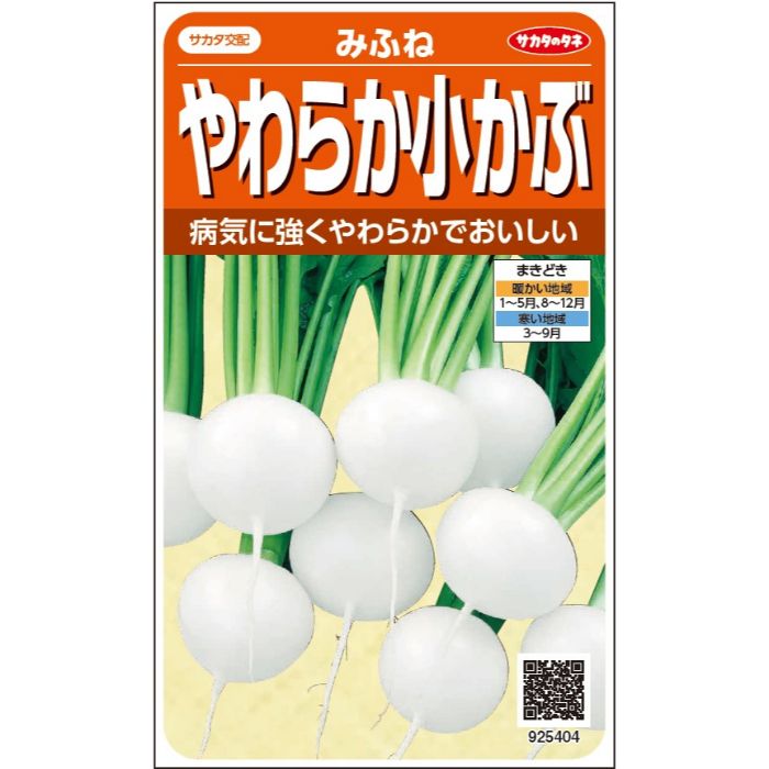 [特長]■病気に強く、玉ぞろいのよい品種です。■やわらかくておいしい■盛夏期を除いて、幅広くつくれます。