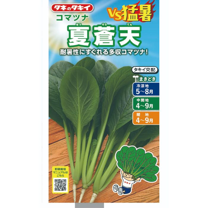 ・高温期にじっくり生育し、葉柄が間伸びせず株張りが良い・葉は濃緑色でてりがあり、しわが少なく平滑。