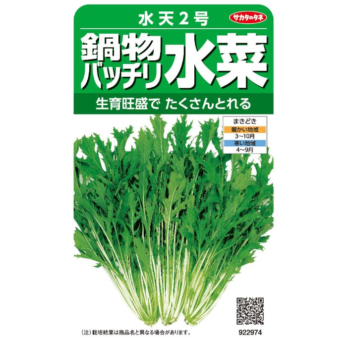[特長]■株張りがよく作りやすい水菜です。低温期でもよく生長します■シャキシャキした食感がおいしく、鍋物をはじめサラダや漬物など幅広い料理に利用できます。[まきどき]■暖かい地域：3～10月■寒い地域：4～9月