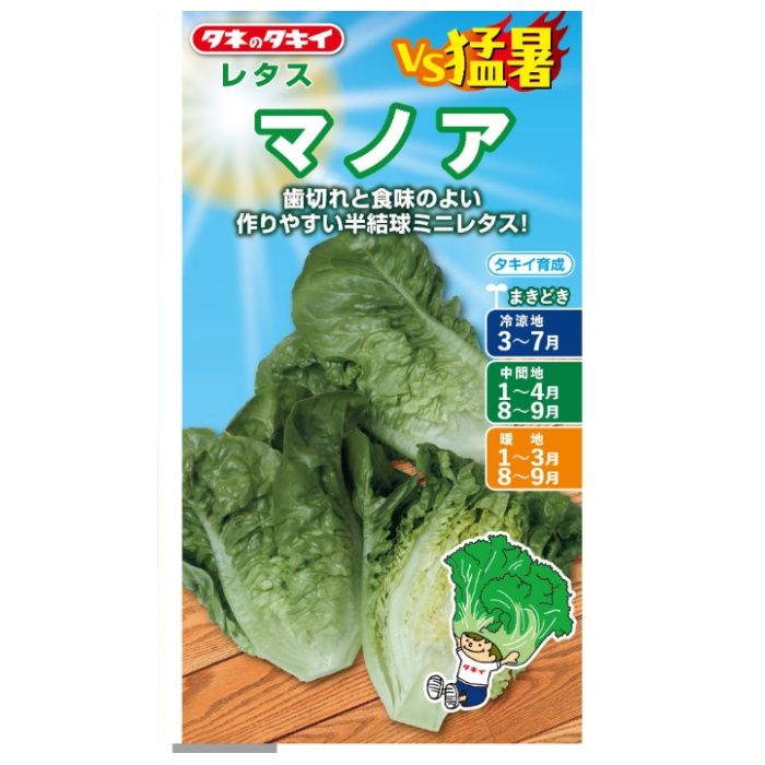 歯切れと食味の良い半結球ミニレタス!VS猛暑シリーズ