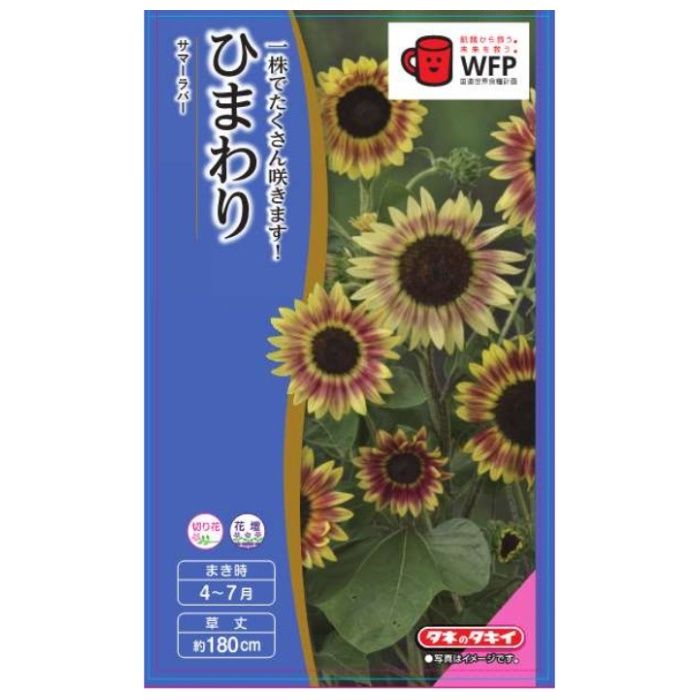 一株でたくさん咲きます!