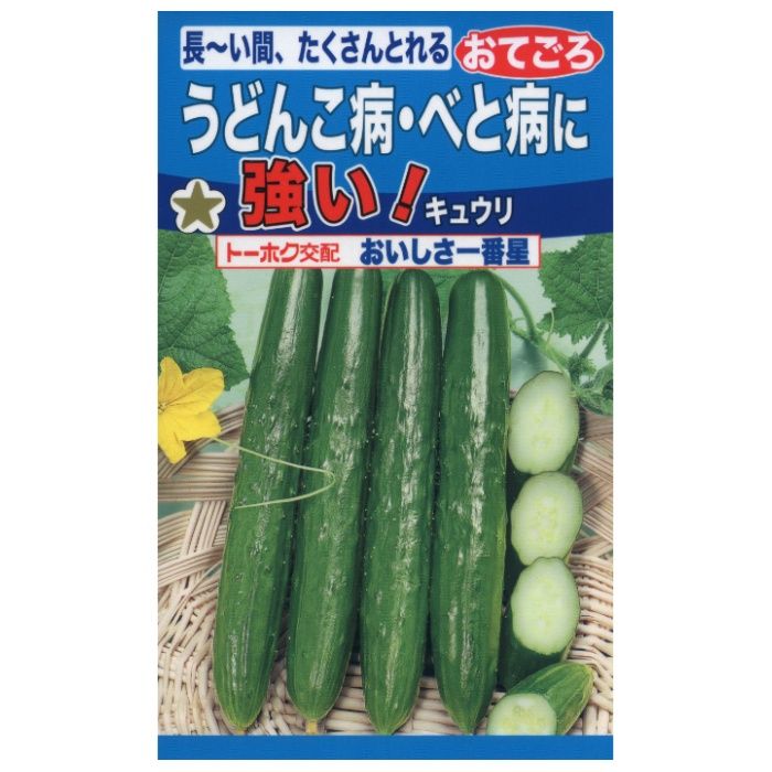 うどんこ病などに極めて強く、枯れ上りが遅いので秀品を長期間収穫できます。支柱作り、地這作り両方に向きます。果実は濃緑色で食味の良いキュウリです。