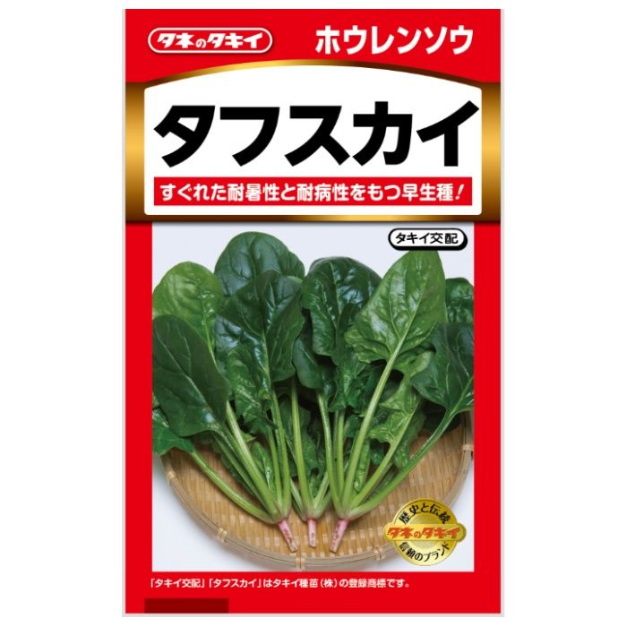 暑さに強く、ホウレンソウが苦手とする夏場でも生育がよくそろいます。病気に強く、作りやすいホウレンソウです。