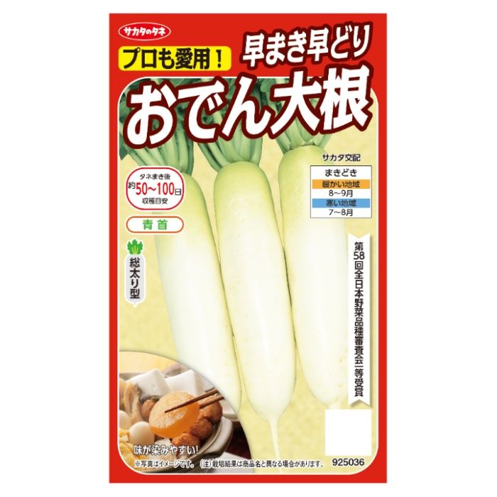 太りが早く年内に収穫できる味が染みやすい大根