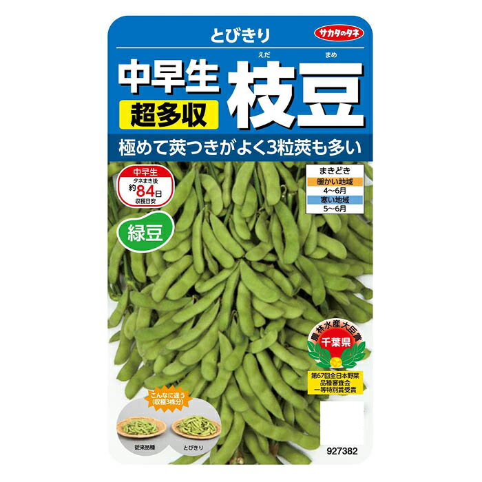 [特長]：■極めて収量性が高く、3粒莢率も高いのが特徴です。■立性で倒伏に強く、高温化でも莢つきが安定します。