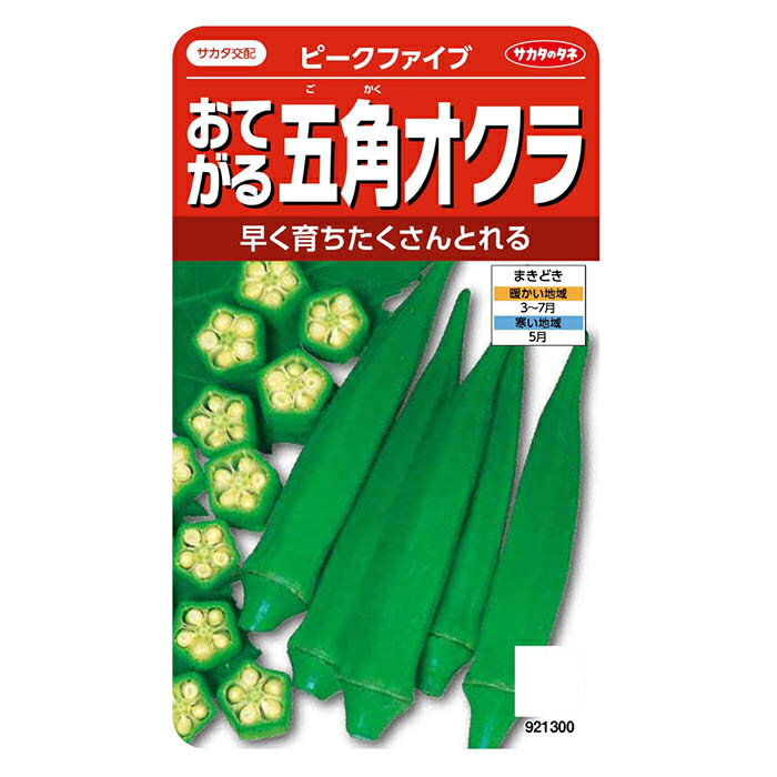 [特長]：■葉が小さく、密植できて倒伏しにくい、つくりやすい五角形のオクラです。■生育は旺盛で、莢は濃緑色、イボの発生が少なく、肉厚ですぐれた品質です。