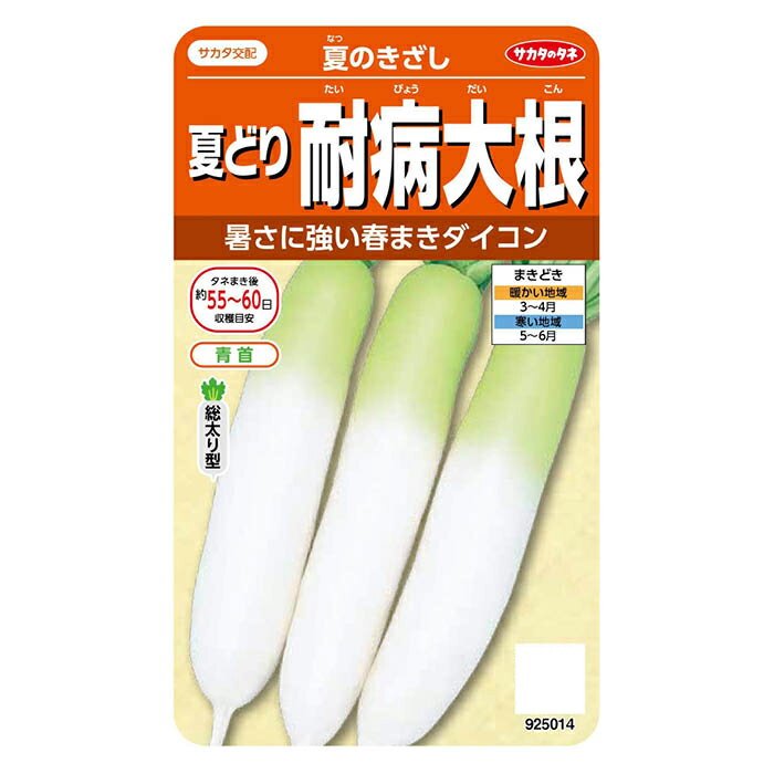 [特長]：■トウ立ちが遅く、暑さに強い、つくりやすい青首ダイコンです。■肥大力がありますが、尻つまりもよく、そろいがよいのが特長です。