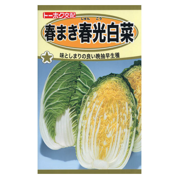 [特長]：■春まきに適した極晩抽性の早生種。■黄芯系でやわらかく品質も良い。
