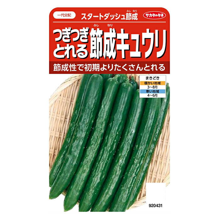 [特長]：■親づるに雌花が多くつく節成性で、初期からたくさんとれます。■歯切れ良くおいしい品種です。サラダにおすすめです。
