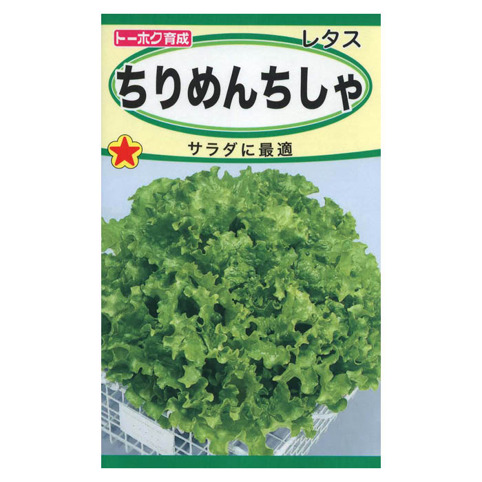サラダに最適[特長]:■鮮やかな緑色でやわらかく美味しいリーフレタス。短期間で手軽に栽培できます※蒔き時期、収穫・開花時期等はパッケージ裏面の記載をご確認ください。※育成目安については、環境による変動があるため、これを保証するものではござい...